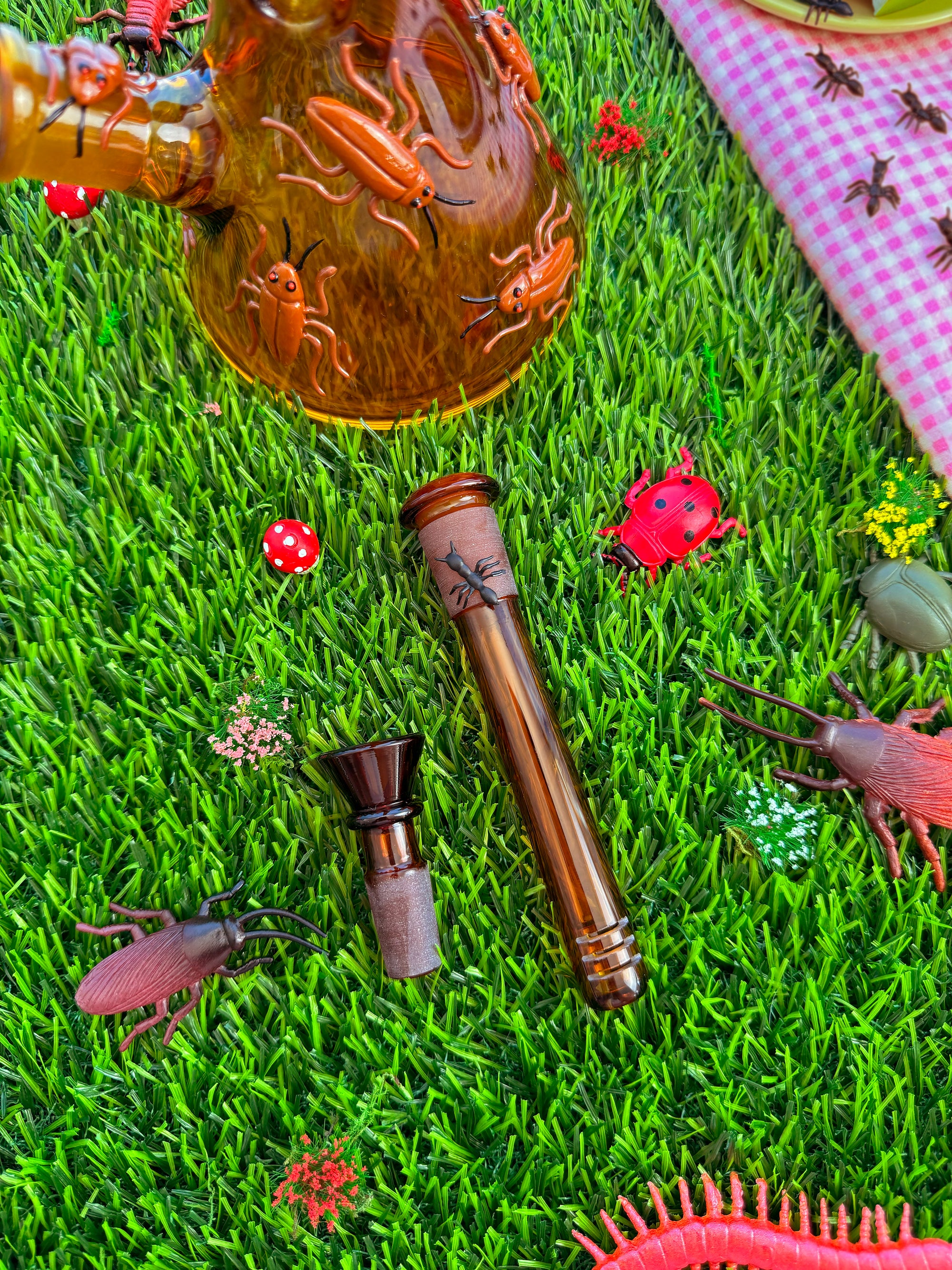 Cockroach Queen Beaker Bong – Shop Burning Love